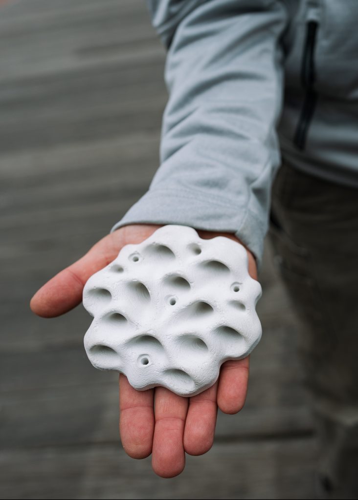 Stone Living Lab Announces Partnership with 2021 Earthshot Prize ...