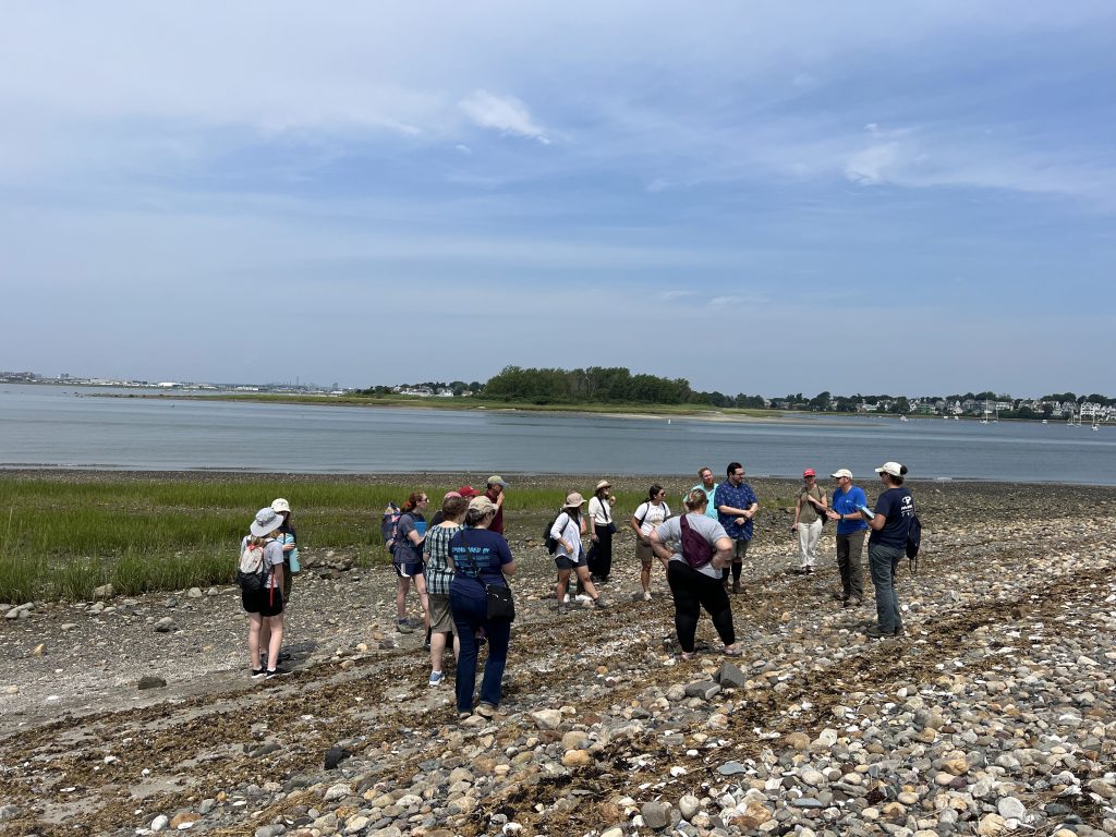 Cobble Berm Monitoring Project Update: Completion of Year One - Stone ...